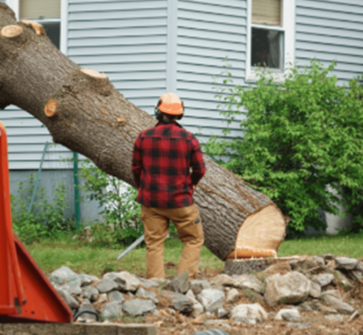 Tree Removal - Riverside, CA | Romero's Tree Service